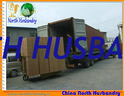 Supply poultry evaporative cooling pad for Greenhouse