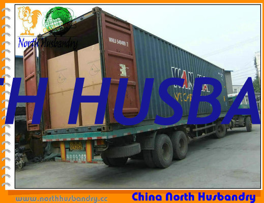 Poultry Cooling Pad in Weifang, Shandong, China