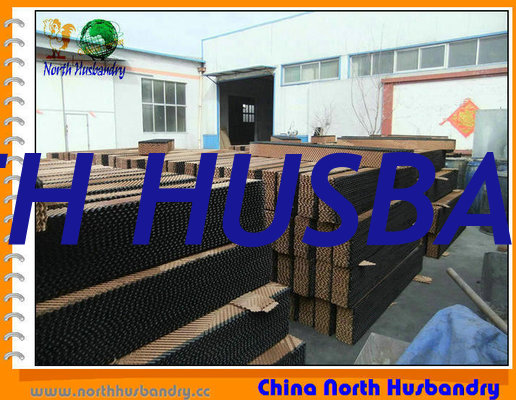 Cellulose Evaporative Cooling pad & Poultry Cooling pad