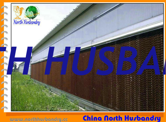Poultry Electric Fan Cooling Fan Ceiling Fan, View Cooling Fan ...