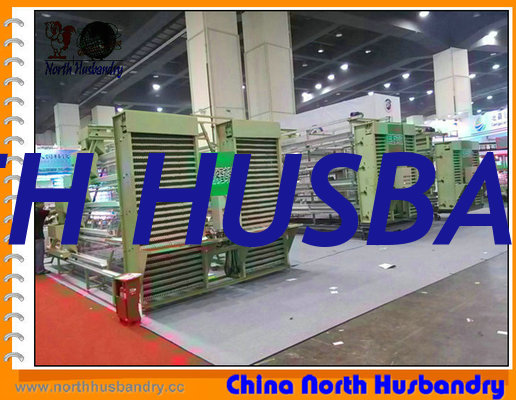 Breeder Cage System of Poultry Cages Poultry Farm