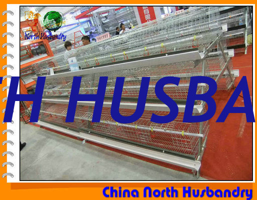 Poultry Cage, Poultry Cage Products, Poultry Cage Suppliers