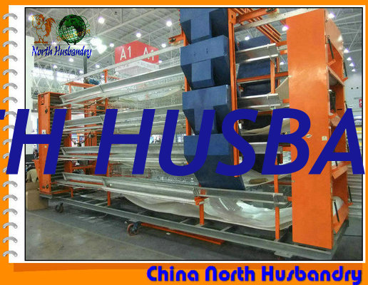 Poultry production Poultry cages for layer management