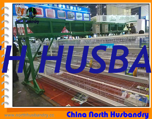 Poultry production Poultry cages for layer management