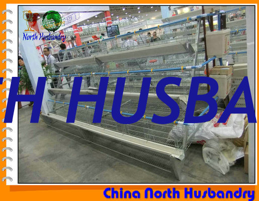 Poultry Cage,Chicken Cage,Layer Cage_Anping County Innaer