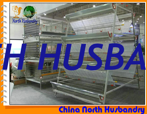 Cage systems and other equipment for poultry farmers of all sizes