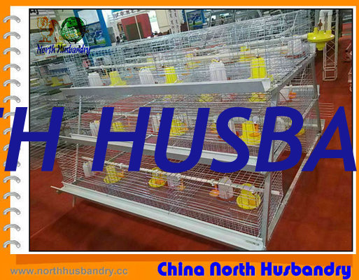 Purchase Electro Galvanized Chicken Cage from Poultry Cage