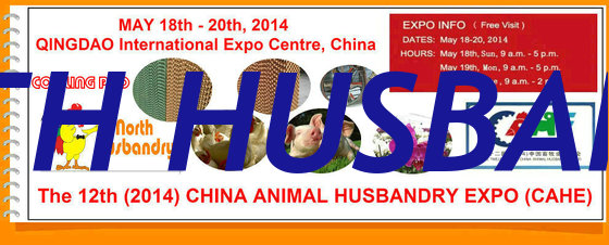 QingDao 2014 International Expo Centre, China