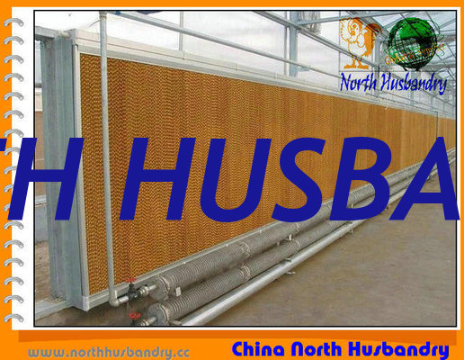 Best poultry house Cooling Pad System