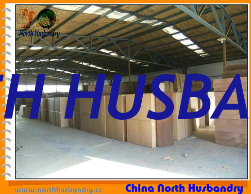 North Husbandry -Arkansas Farm Bureau - Poultry House Cooling Systems - YouTube