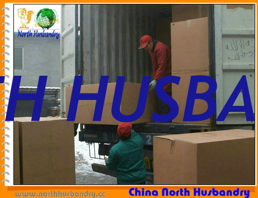 Automatic poultry evaporative cooling pad