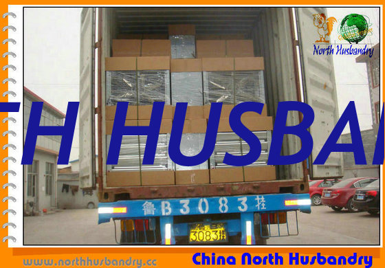 Automatic Poultry Cooling Pad System for Chicekn and Broiler