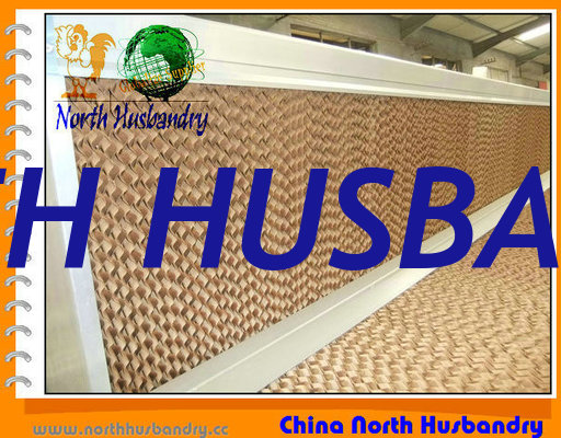 Huabo automatic poultry equipment in qingdao
