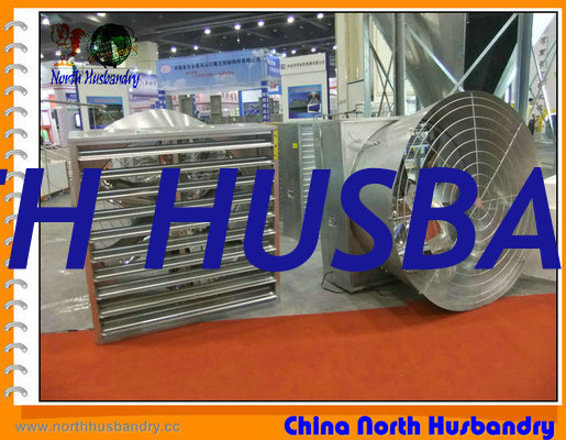 Floor Management System Chain Feeding System Poultry Cages