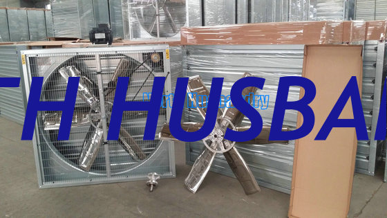 Chuẩn Bị Điều Kiện Trước Khi Nuôi Gà Công Nghiệp Lông