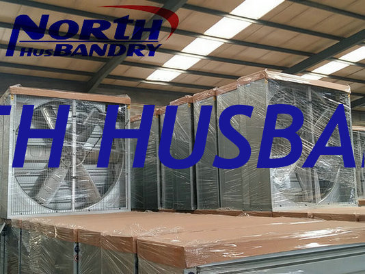Libya Best Swung drop hammer exhaust fan cheap poultry fan
