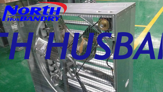 The Cheapest and Best Quality Centrifugal Fan for Greenhouse /Poultry Fan