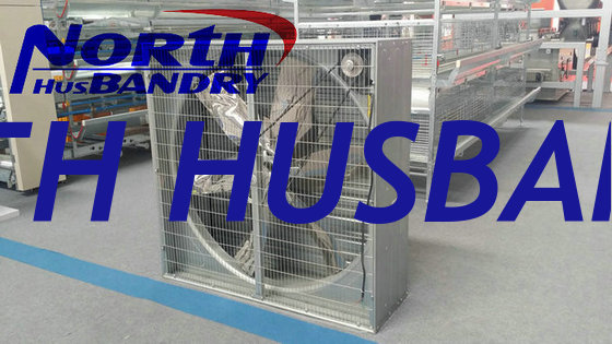 The Cheapest and Best Quality Centrifugal Fan for Greenhouse /Poultry Fan
