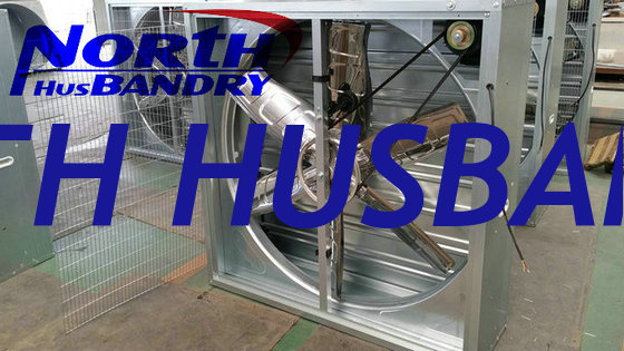 Cheap Big Air Flow Dorp Hammer Exhaust Fan For Poultry Farm low price