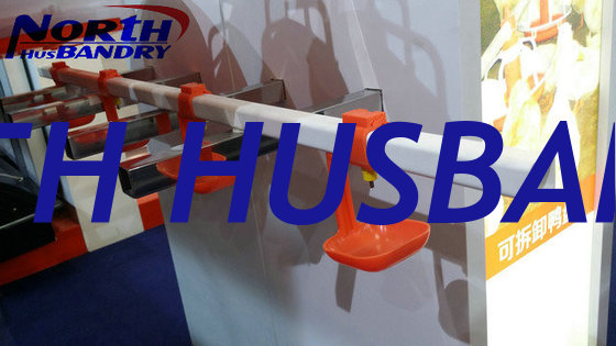 best selling Chinese Factory design poultry house equipment