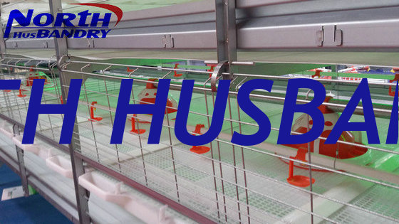 Poultry Exhaust Fan China Export Commodities Fair