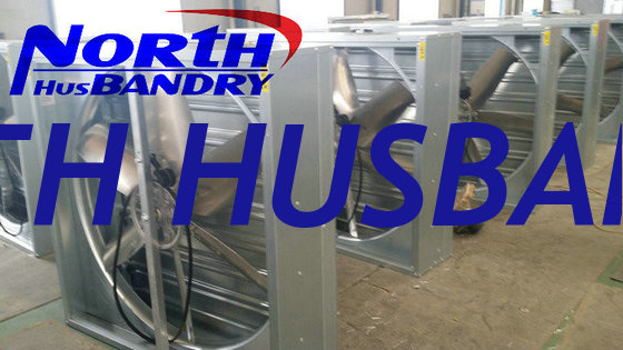 poultry equipment | greenhouse equipment |wrokshop ventilation fan