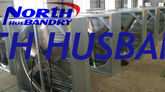 54 INCHES Swung Drop Hamer Exhaust Fan for Poultry House