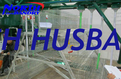 poultry farm galvanized chicken cage
