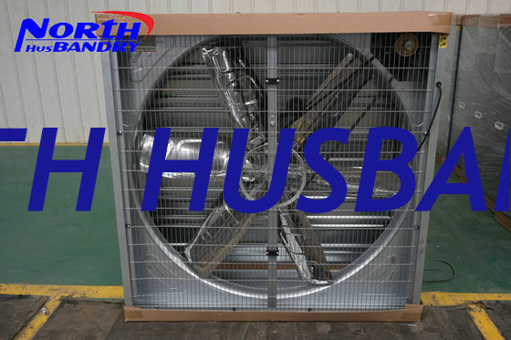 poultry farm galvanized chicken cage