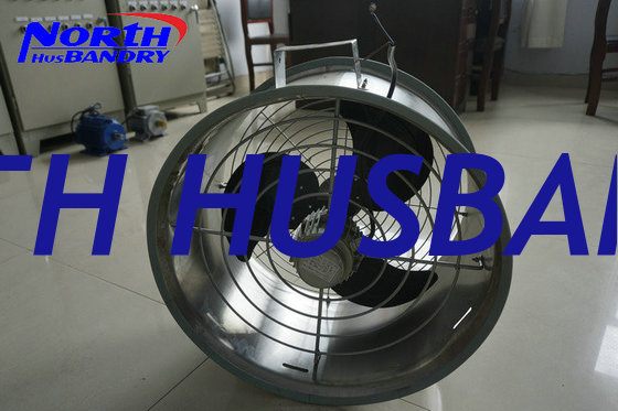 Wholesale automatic high-density chicken cage system