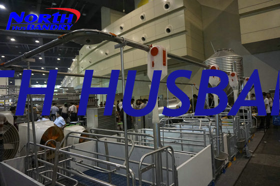 pig farming equipments pig crate for sales