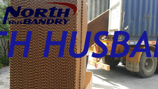 China Exhaust Fan/Cooling Pad/Auto-heating Machine/Poultry Farm Equipment