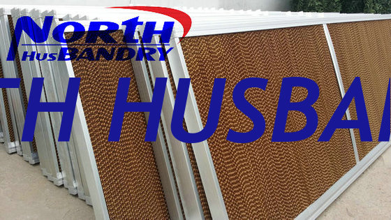 China Exhaust Fan/Cooling Pad/Auto-heating Machine/Poultry Farm Equipment