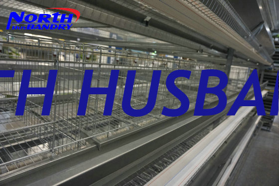 Chicken Cages For Layers & Broilers Nairobi livestock
