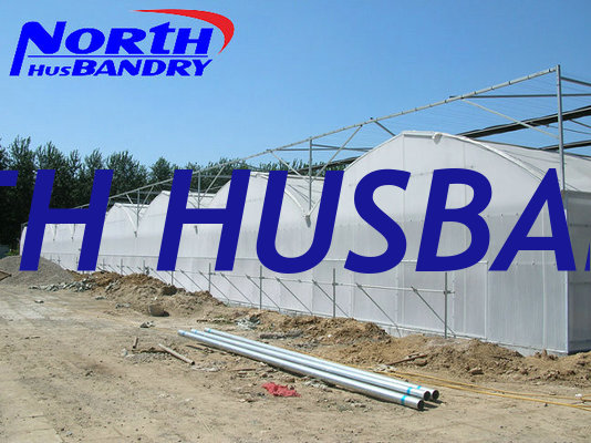 agricultural poly film greenhouse for sale in China