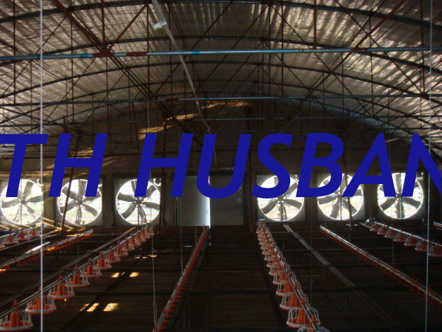 centrifudal shutter exhaust fan use for poultry greenhouse /workshop