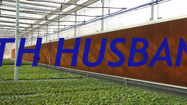 Poultry cooling pad  Greenhouse fan Egypt, Bangladesh,  South Africa, Saudi Arabia and Sud