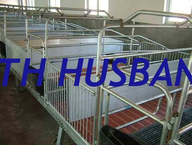 High quality E type galvanized pipe farrowing crates