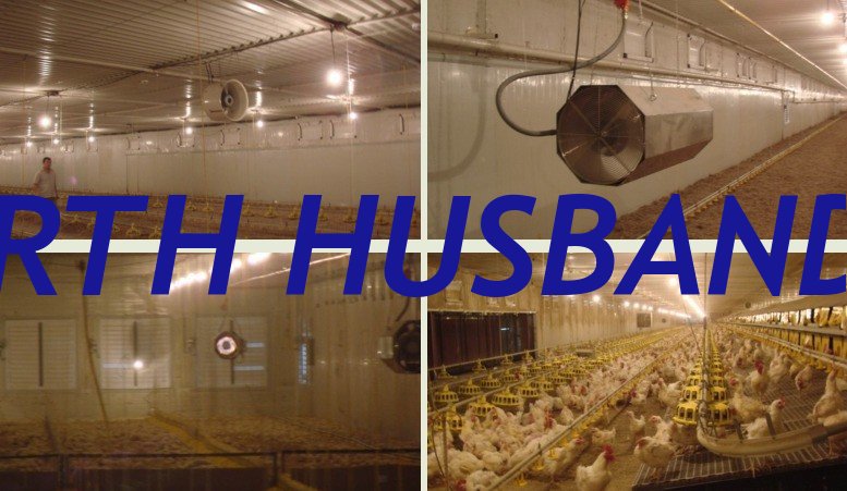 Cooling pad for poultry equipment - Detailed info for Cooling pad for house