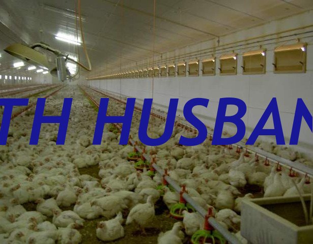 Intensive Farming Construction was get through for RderCorp NorthHusbandry