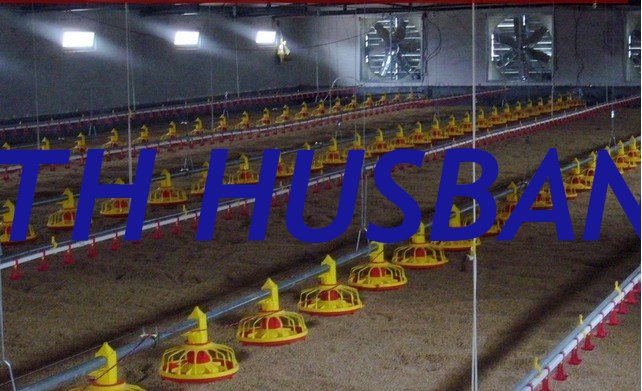 2013 Intensive Farming Construction was get through for RderCorp NorthHusbandry