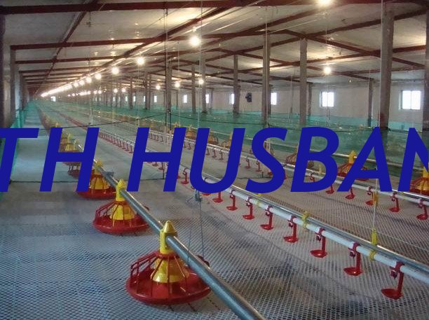 2013 Intensive Farming Construction was get through for RderCorp NorthHusbandry
