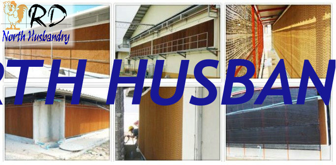 corrugated cellulose evaporative cooling pad for greenhouse|poultry house