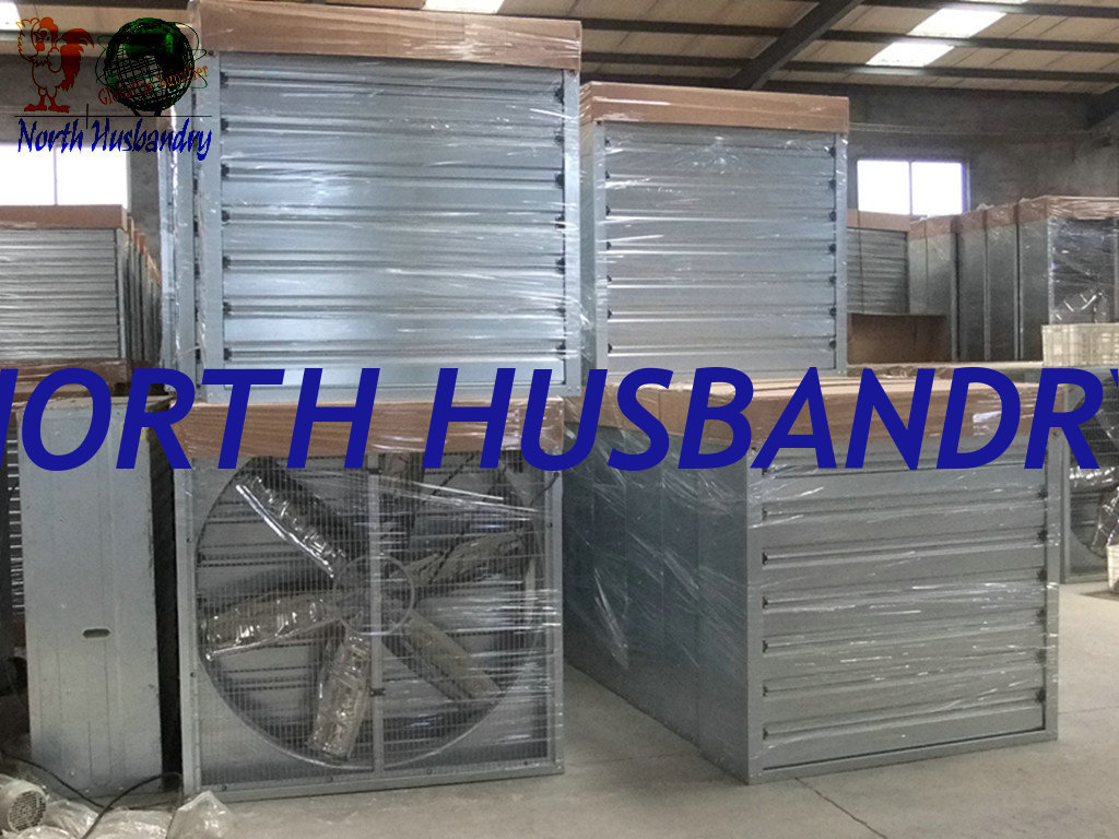 North&Husbandry-Poultry fan,Ventilation fan,Exhaust fan-50''/36''Box Fan-box fan