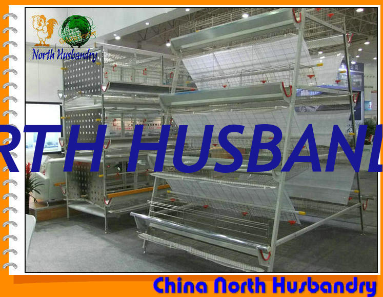 Cage systems and other equipment for poultry farmers of all sizes