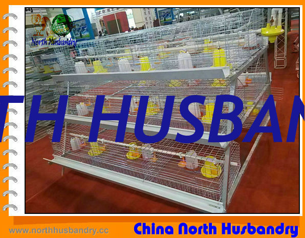 H type poultry cage, H type chicken layer house, CLIMA H type