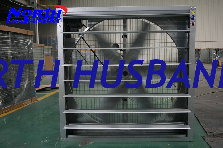 types of layer chicken cages for zimbabwe poultry