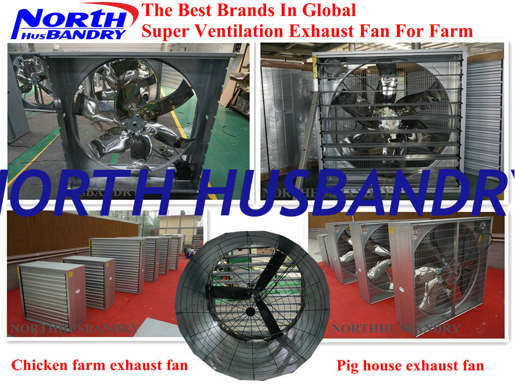Butterfly Cone Ventilation Exhaust Fan/Poultry Water Cooling Fan 40 Inch And 50 Inch