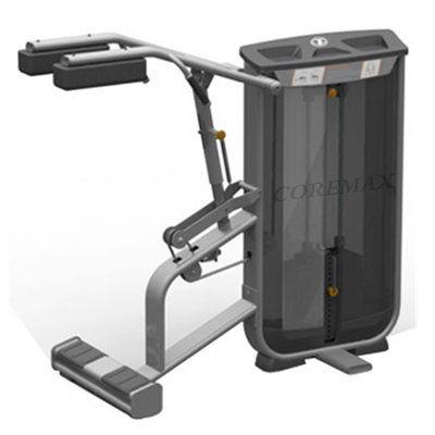 China CM-303 Standing Leg Calf Machine supplier
