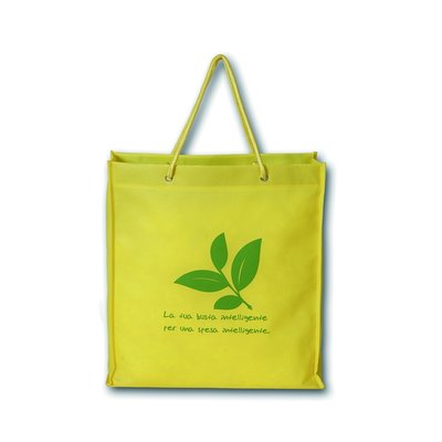 Non Woven Polypropylene Shopping Bags Silk Printed With String Handle